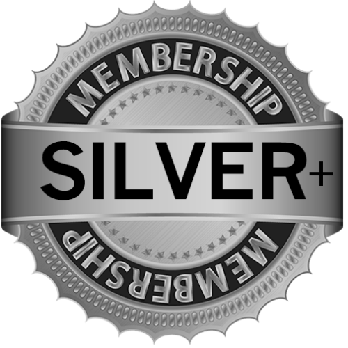 Silver Plus Plan - Dyslexia Connect Online Tutoring